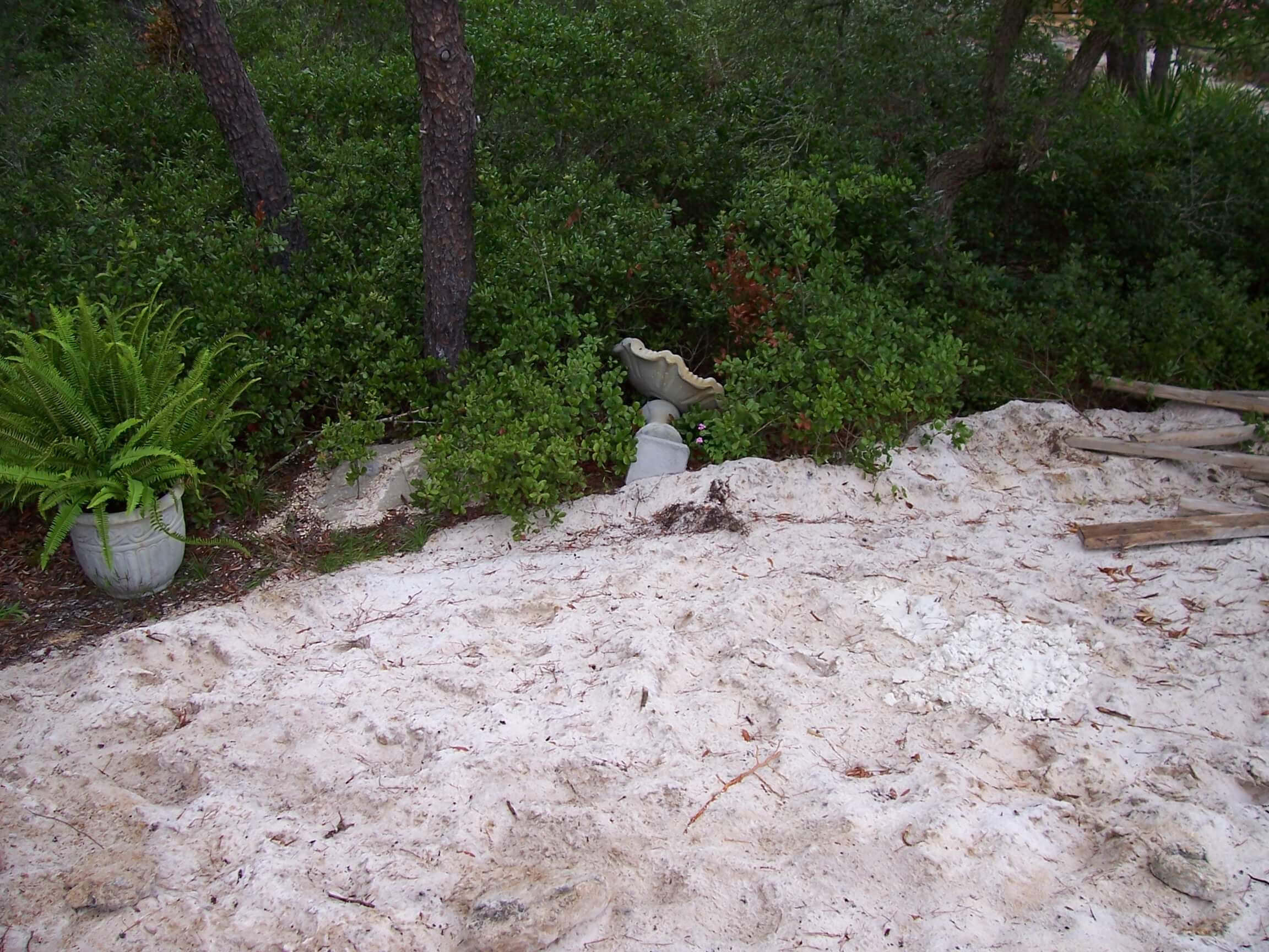 DAVIS (3) | Panama Pools & Spas