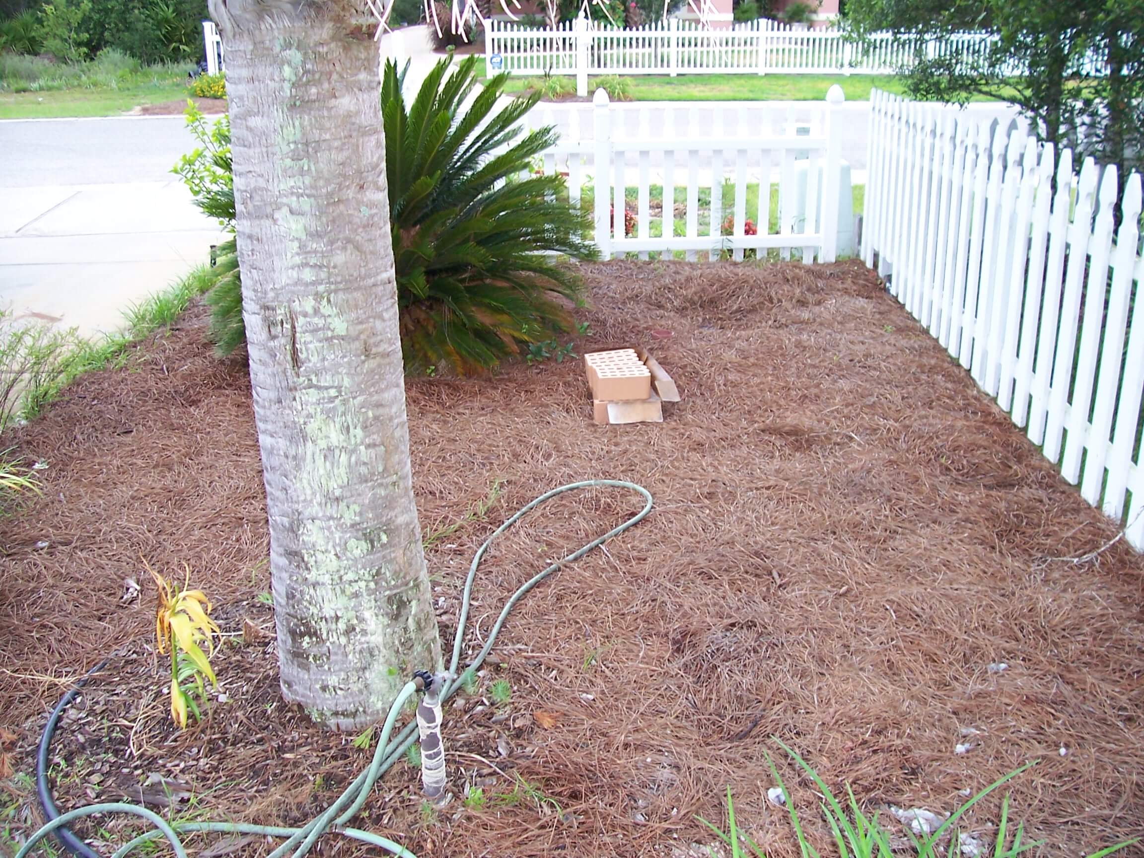 DAVIS (7) | Panama Pools & Spas